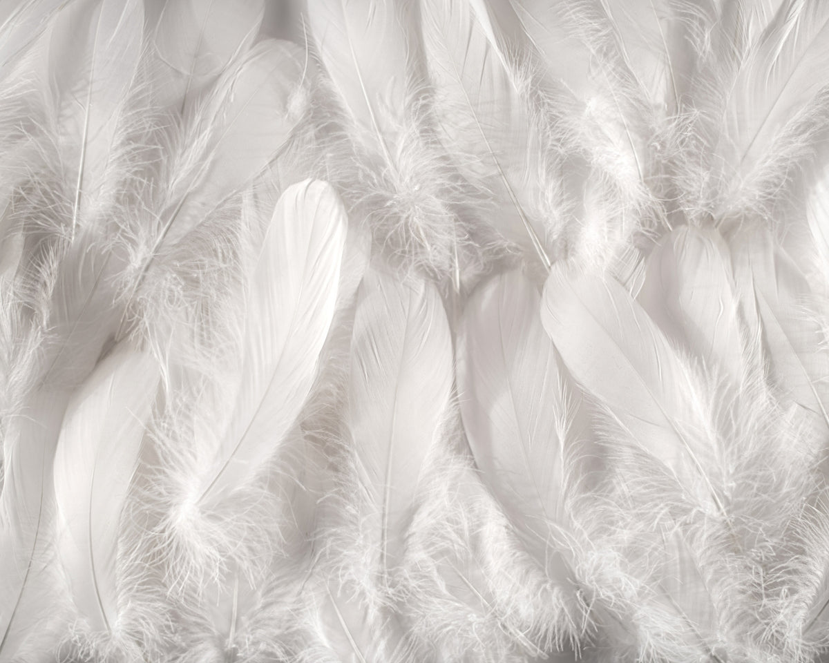 Feather Pillows | Goose & Duck Feather Down Pillows | Pillow World
