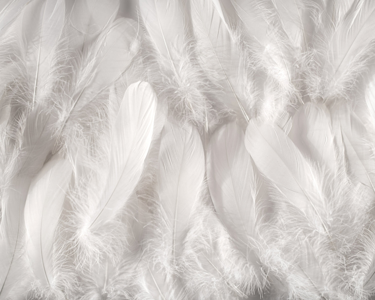 Feather Pillows | Goose & Duck Feather Down Pillows | Pillow World