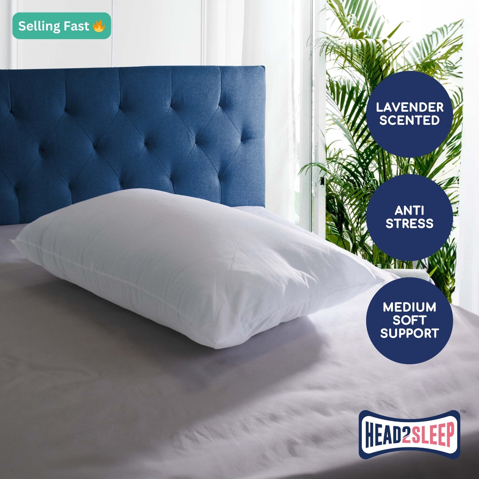 Head2Sleep Lavender Pillow at Pillow World